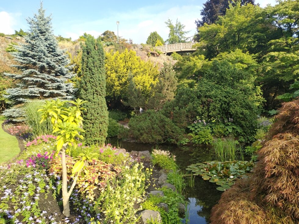 Queen Elizabeth Park Vancouver | Explore Vancouver's Urban Oasis